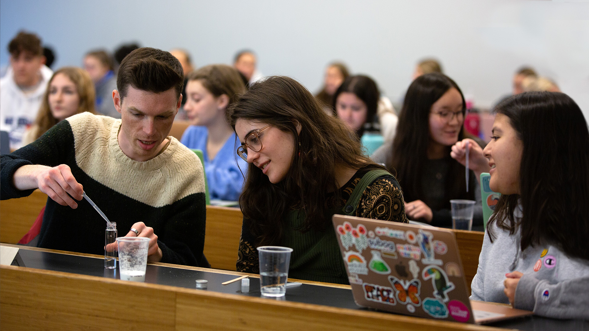 Major in Speech, Language, and Hearing Sciences | Department of Speech, Language, and Hearing ...